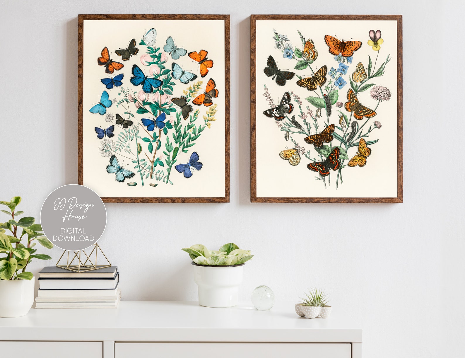 Butterfly Prints Set of 2 Botanical Butterfly Illustrations | Etsy