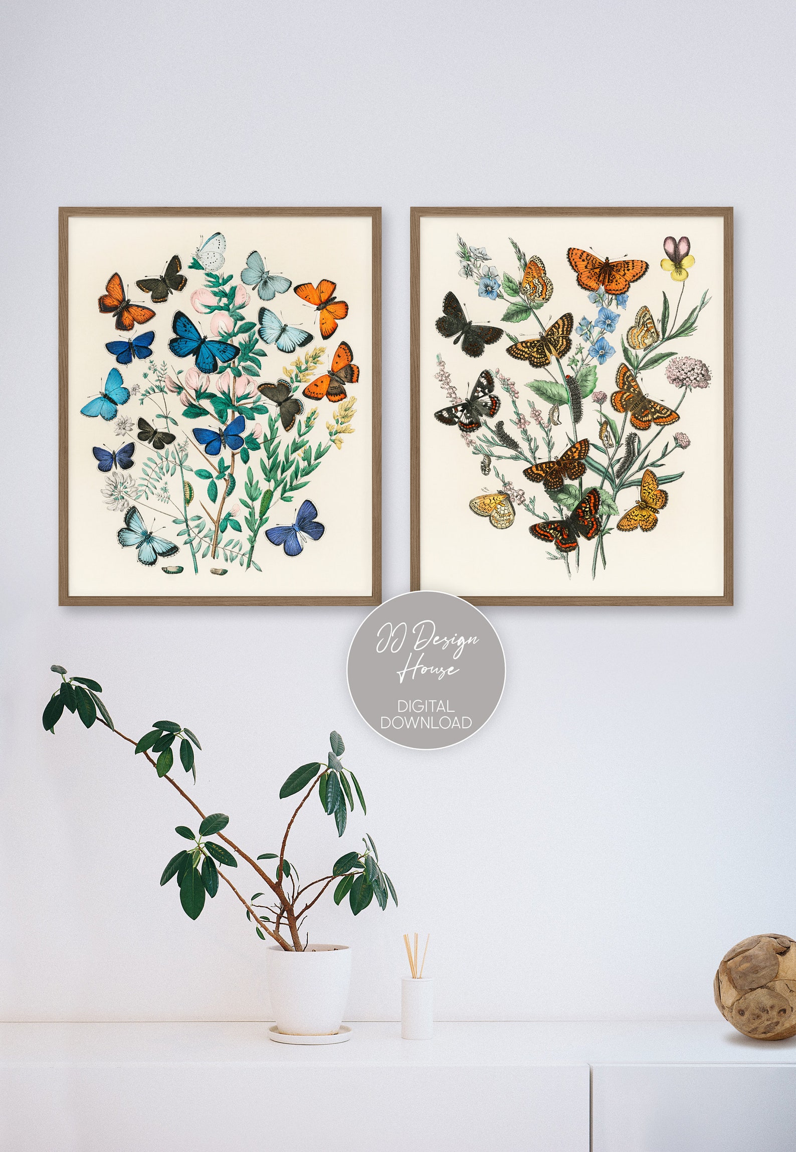 Butterfly Prints Set of 2 Botanical Butterfly Illustrations | Etsy
