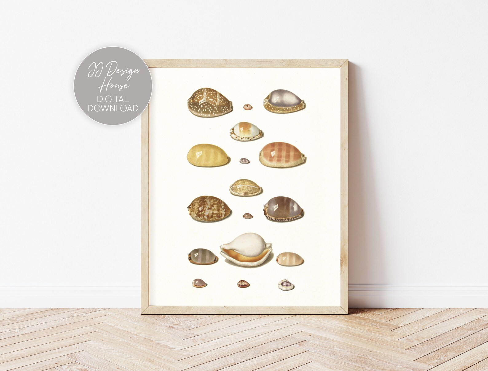 Vintage Seashells Print Coastal Wall Art Shell Poster Beach - Etsy