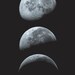 DIGITAL, Moon Print, Phases of the Moon, Moon Wall Art, Celestial Decor ...