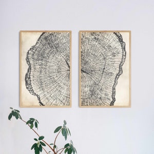 Large Wall Art, Tree Ring Print, Abstract Wall Art Set of 2, Printable ...