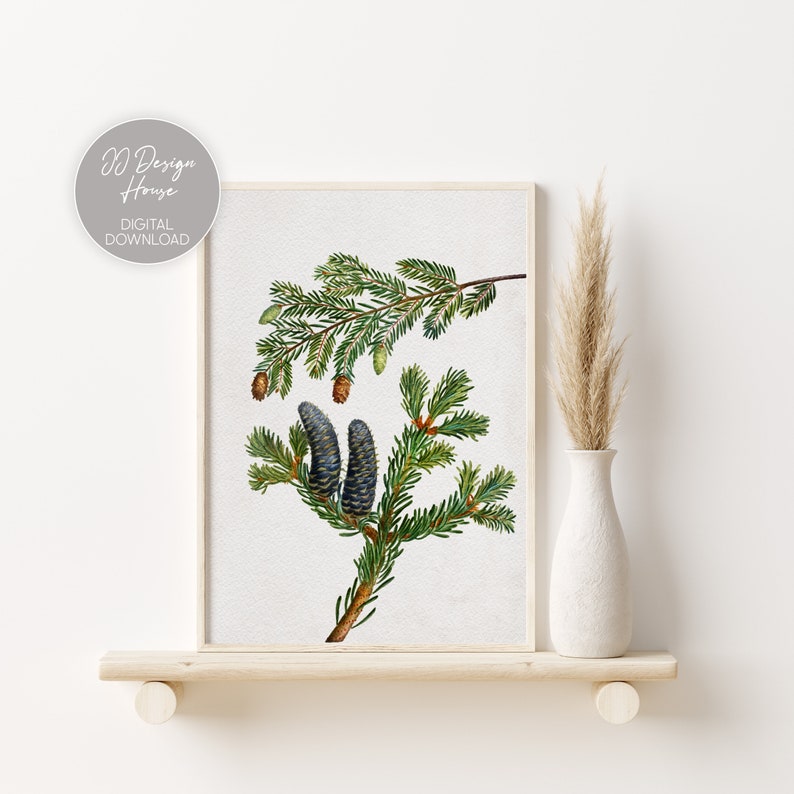 Winter Branches Print Set of 3 Antique Botanical Prints - Etsy