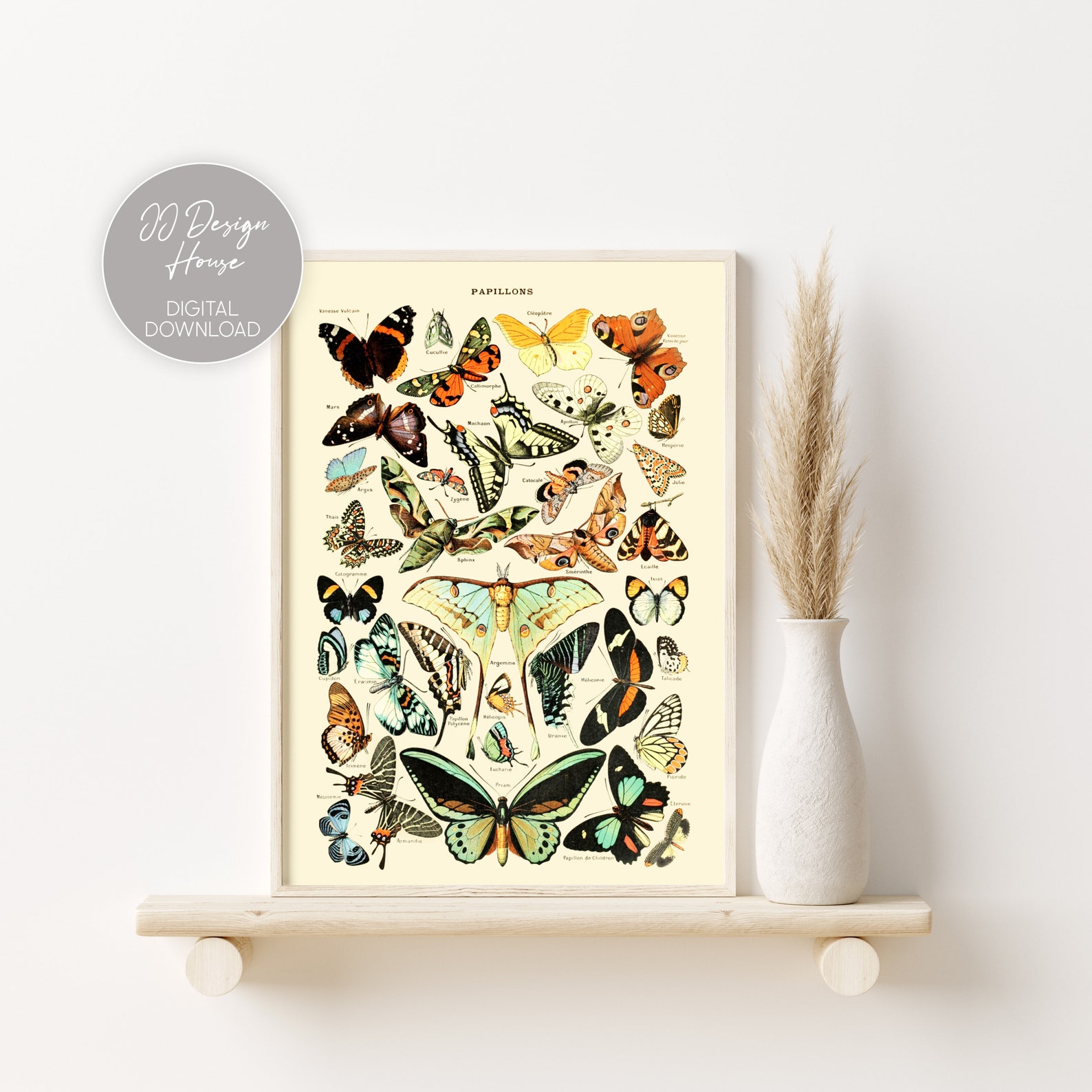 Vintage Butterfly Chart Butterfly Print Butterfly - Etsy