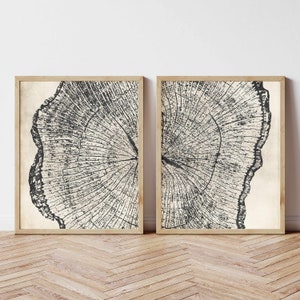 Large Wall Art, Tree Ring Print, Abstract Wall Art Set of 2, Printable ...