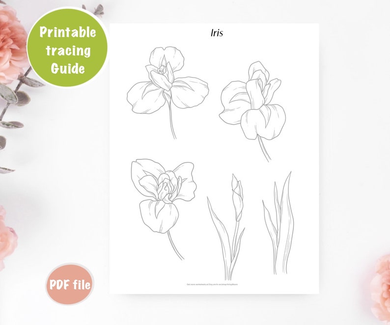 Flower Tracing Guides, Learn to Draw Flowers, Coloring Pages, Printable ...