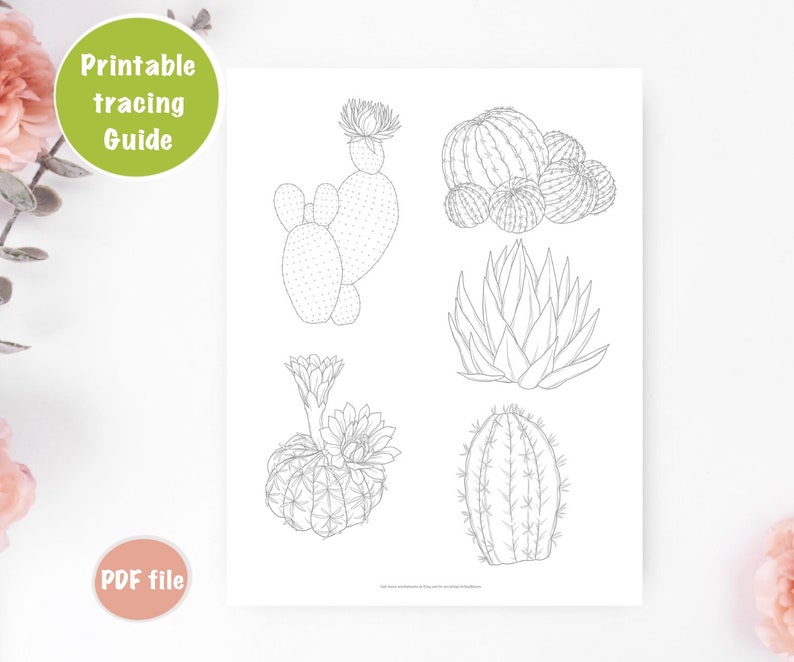 20 Cacti Succulent Tracing Guides, Learn to Draw Succulents , Coloring ...