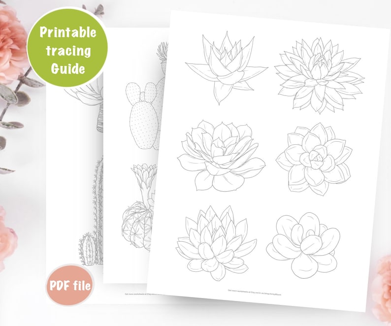 20 Cacti Succulent Tracing Guides, Learn to Draw Succulents , Coloring ...