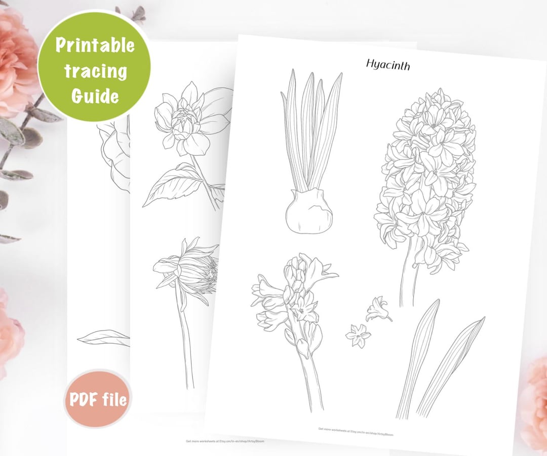 Flower Tracing Guides, Learn to Draw Flowers, Coloring Pages, Printable ...