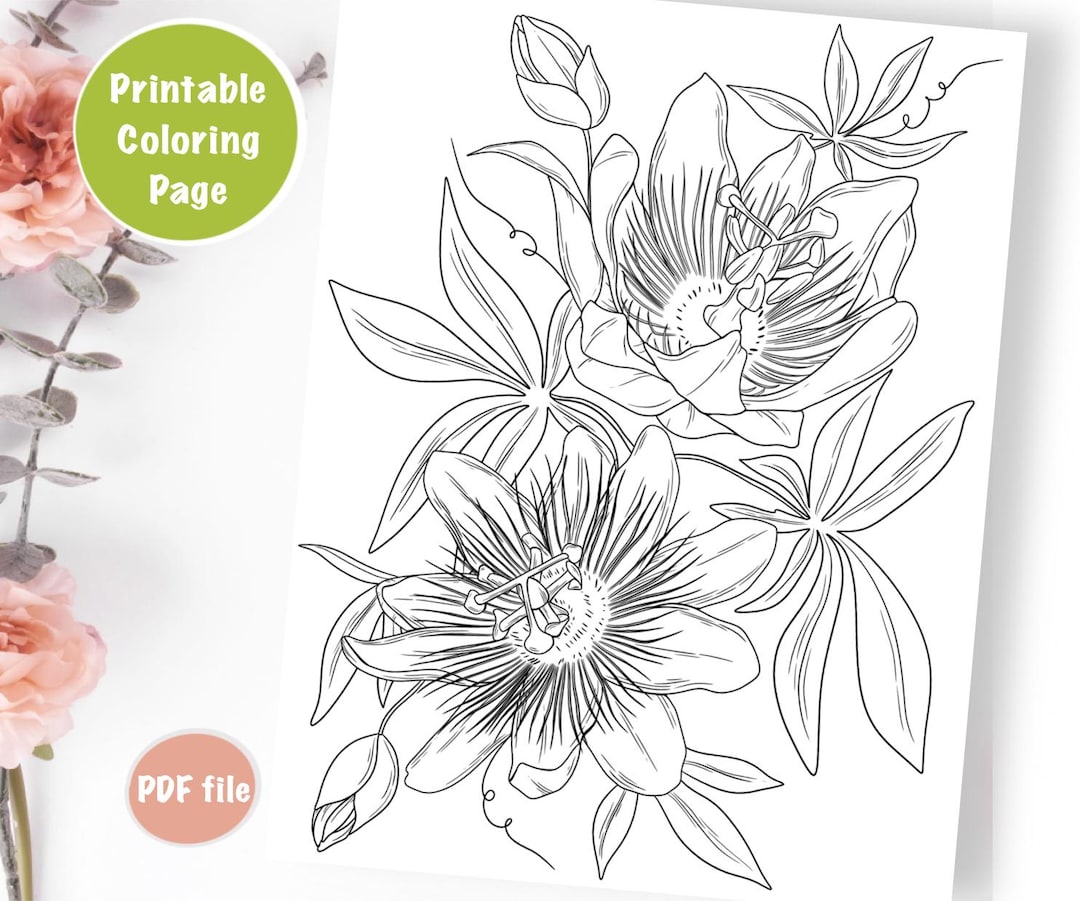 Passion Flower Coloring Page: Realistic Floral Design (PDF) - Etsy ...