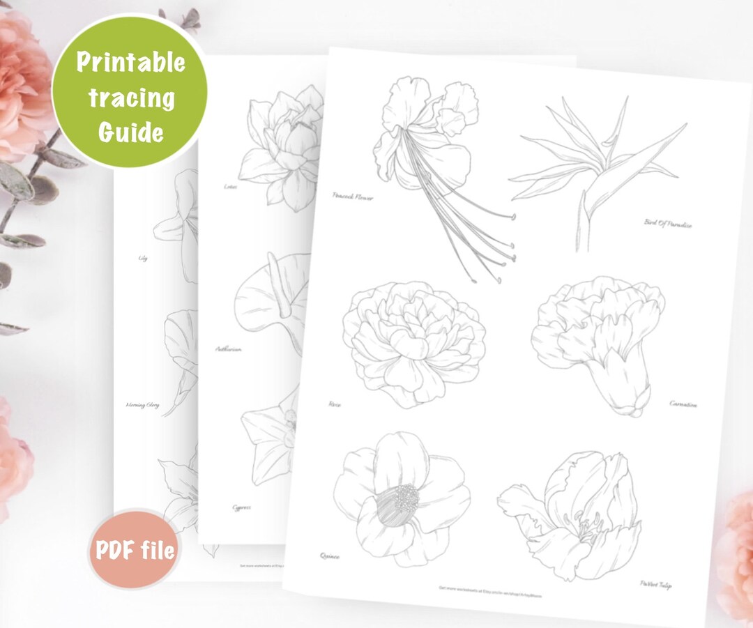 Flower Tracing Guides, Learn to Draw Flowers, Coloring Pages, Printable ...