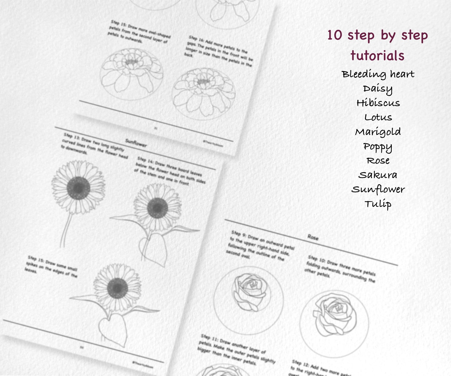 How to Draw Flowers, 10 Step by Step Drawing Guide for Beginners, Learn ...