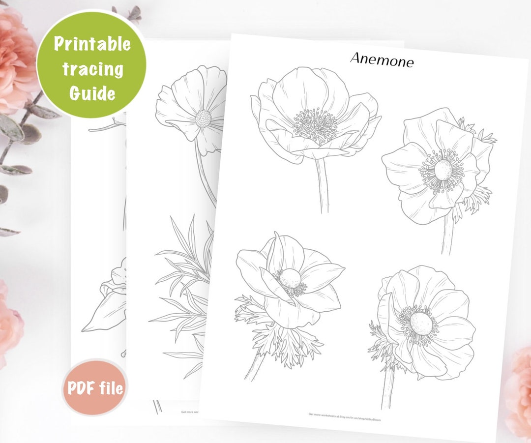 Flower Tracing Guides, Learn to Draw Flowers, Coloring Pages, Printable ...