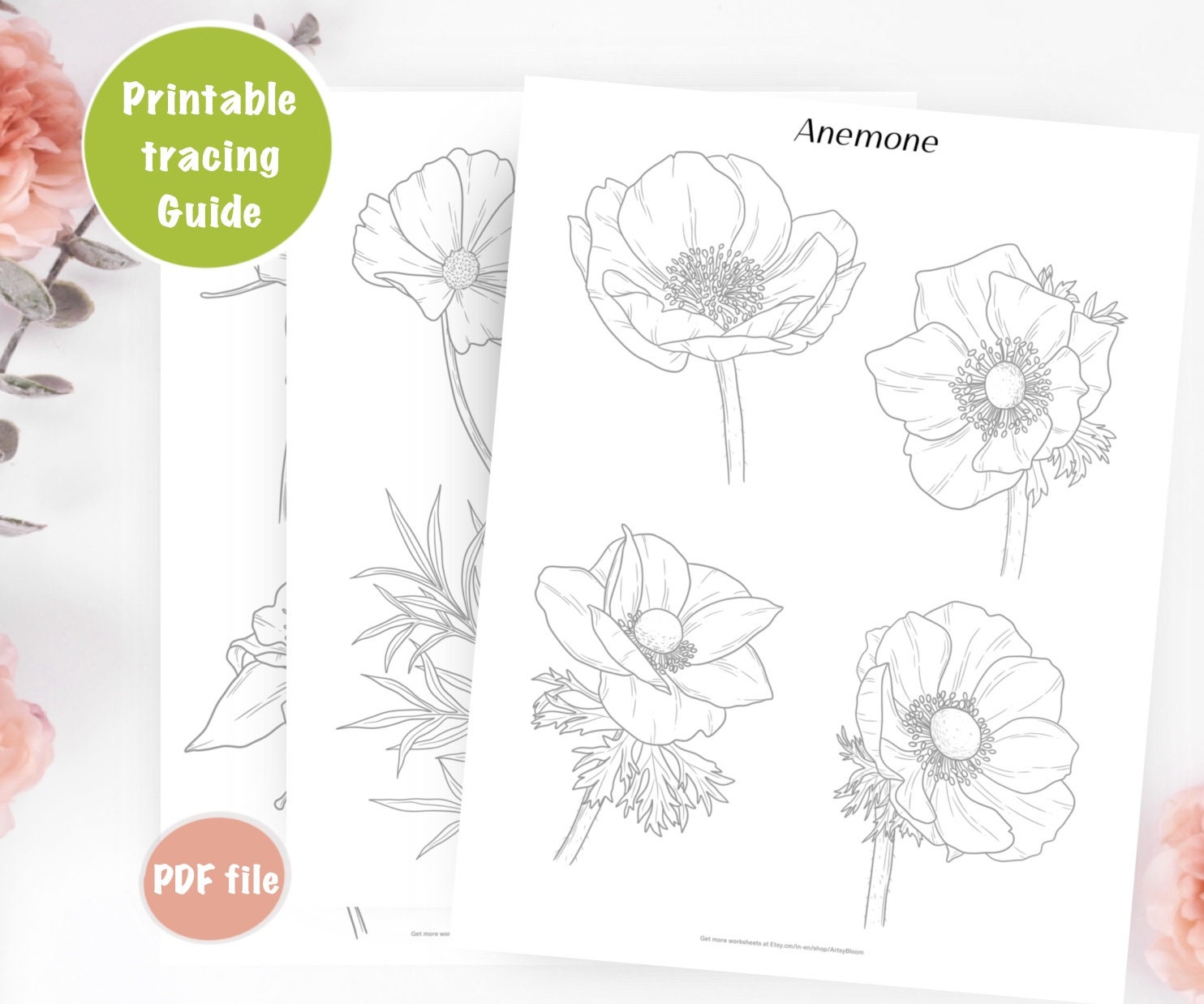 Flower Tracing Guides, Learn to Draw Flowers, Coloring Pages, Printable ...