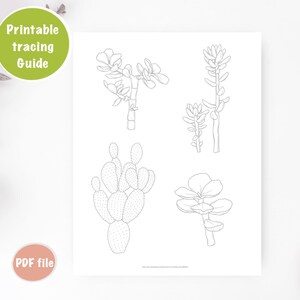 20 Cacti Succulent Tracing Guides, Learn to Draw Succulents , Coloring ...
