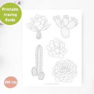 20 Cacti Succulent Tracing Guides, Learn to Draw Succulents , Coloring ...