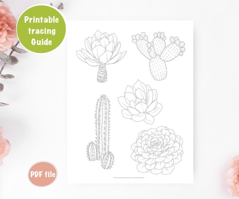 20 Cacti Succulent Tracing Guides, Learn to Draw Succulents , Coloring ...