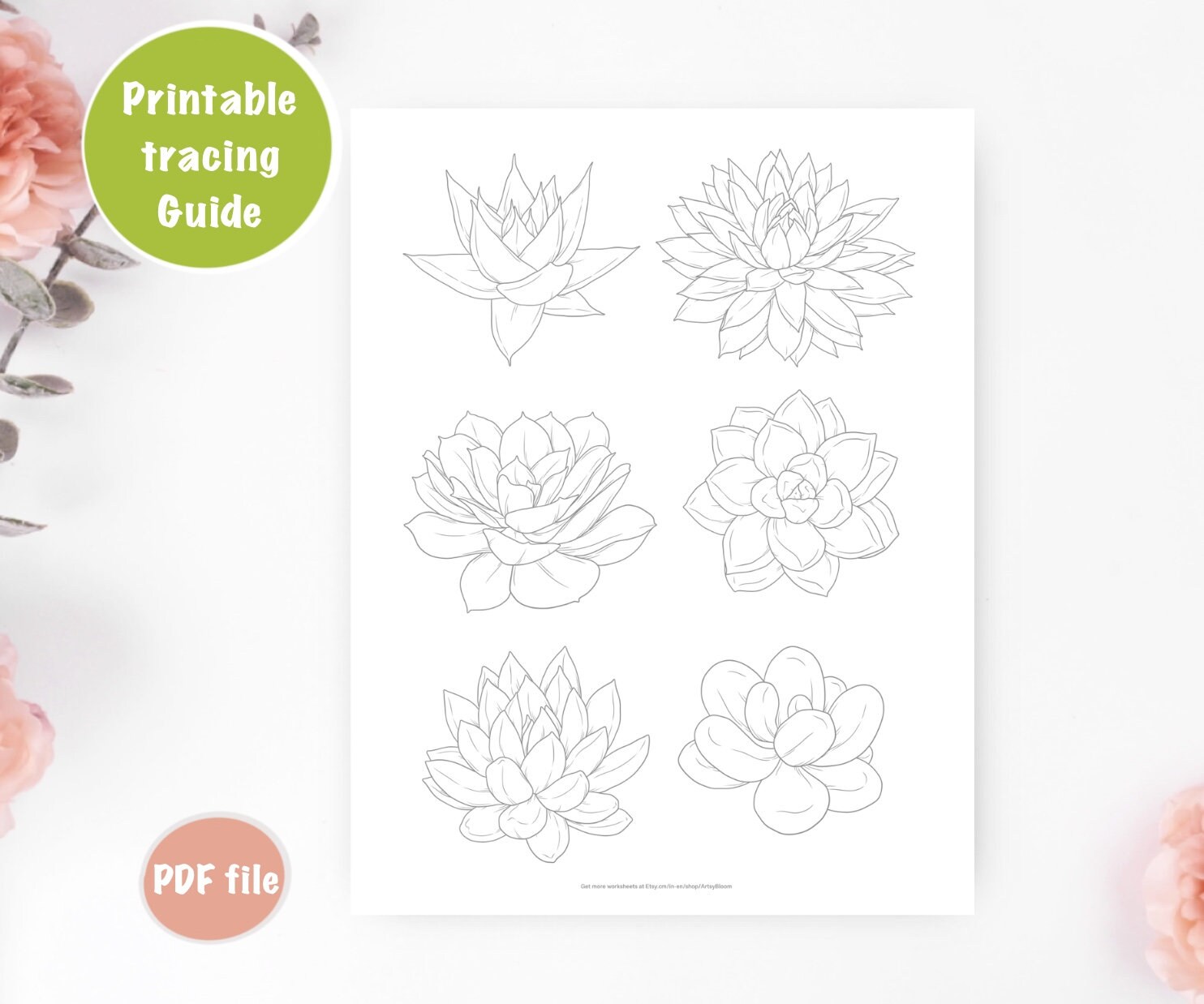 20 Cacti Succulent Tracing Guides, Learn to Draw Succulents , Coloring ...