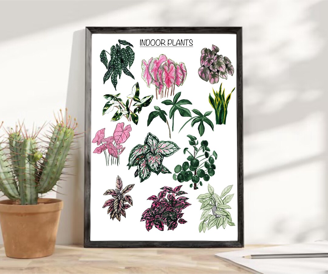 Plant Print, Indoor Plant Art, Printable Wall Art, Botanical Print ...