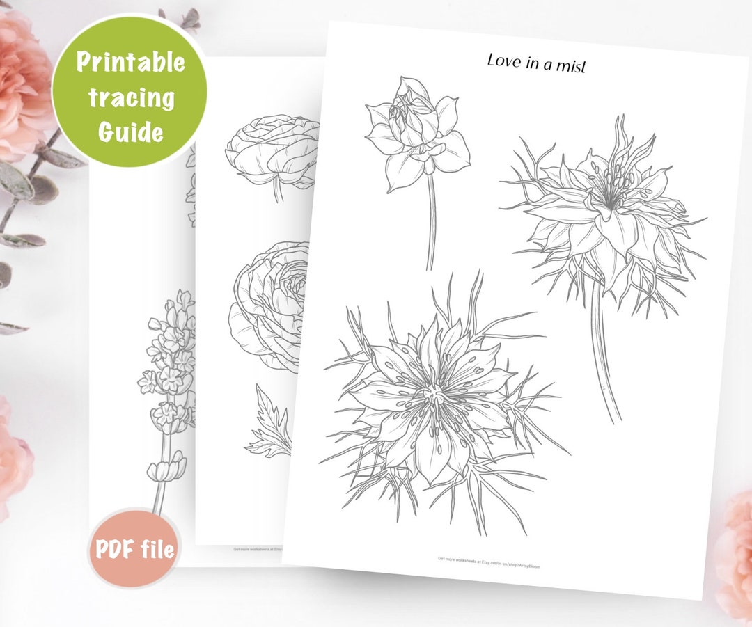 Flower Tracing Guides, Learn to Draw Flowers, Coloring Pages, Printable ...