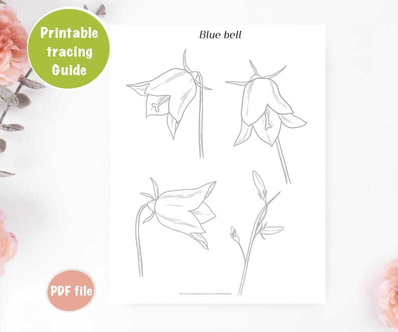 Flower Tracing Guides, Learn to Draw Flowers, Coloring Pages, Printable ...
