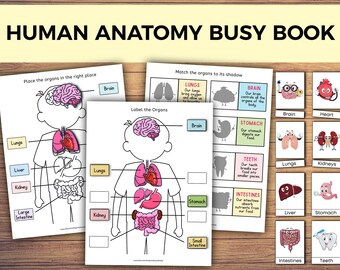 Human Body Book - Etsy