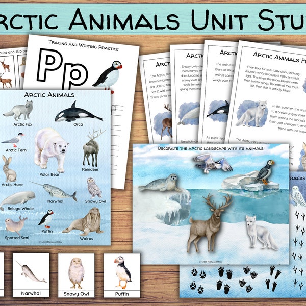 Arctic Animals - Etsy