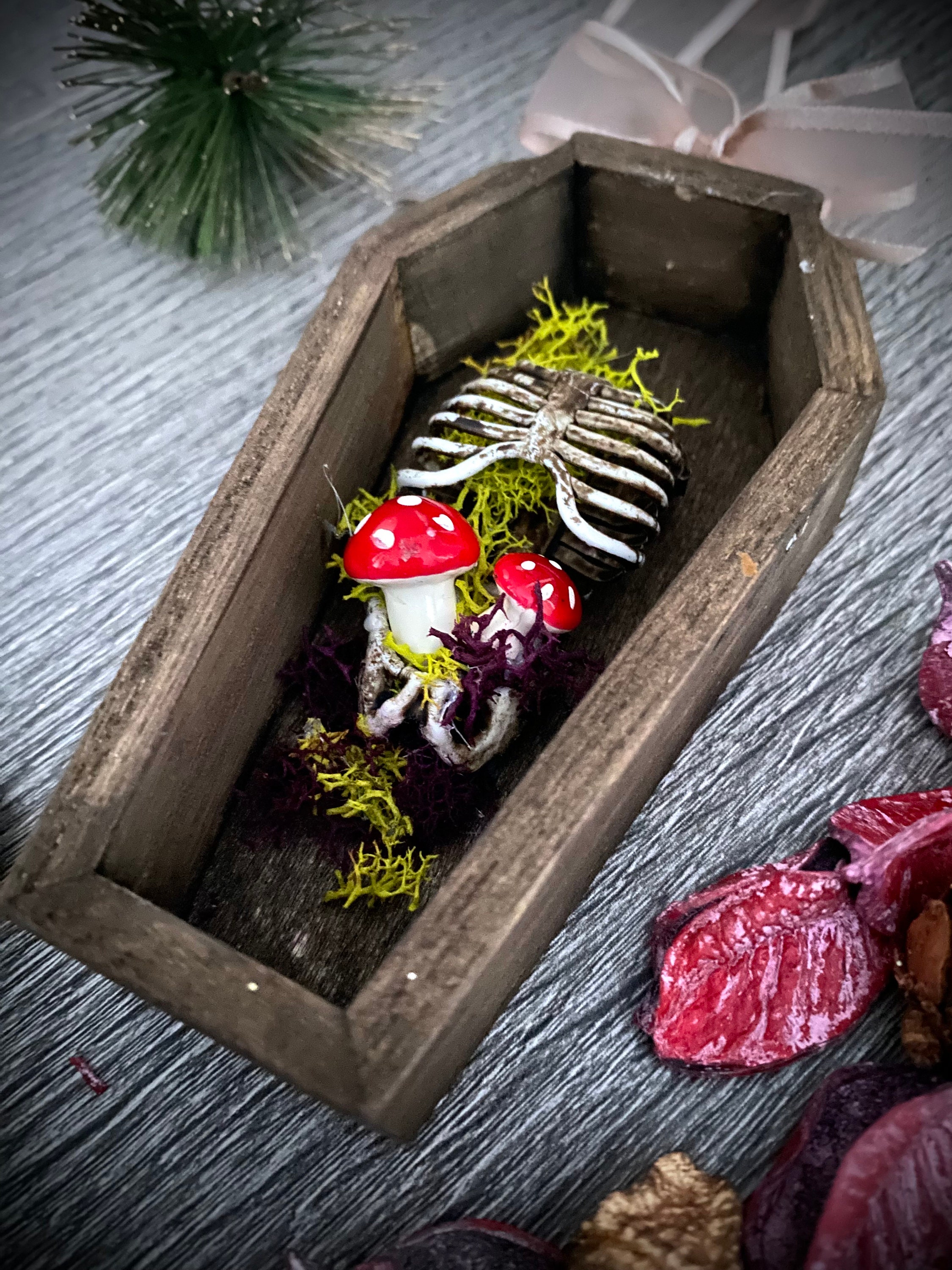 Skeleton In A Coffin Coffin Shadowbox Diorama Coffinbox Etsy