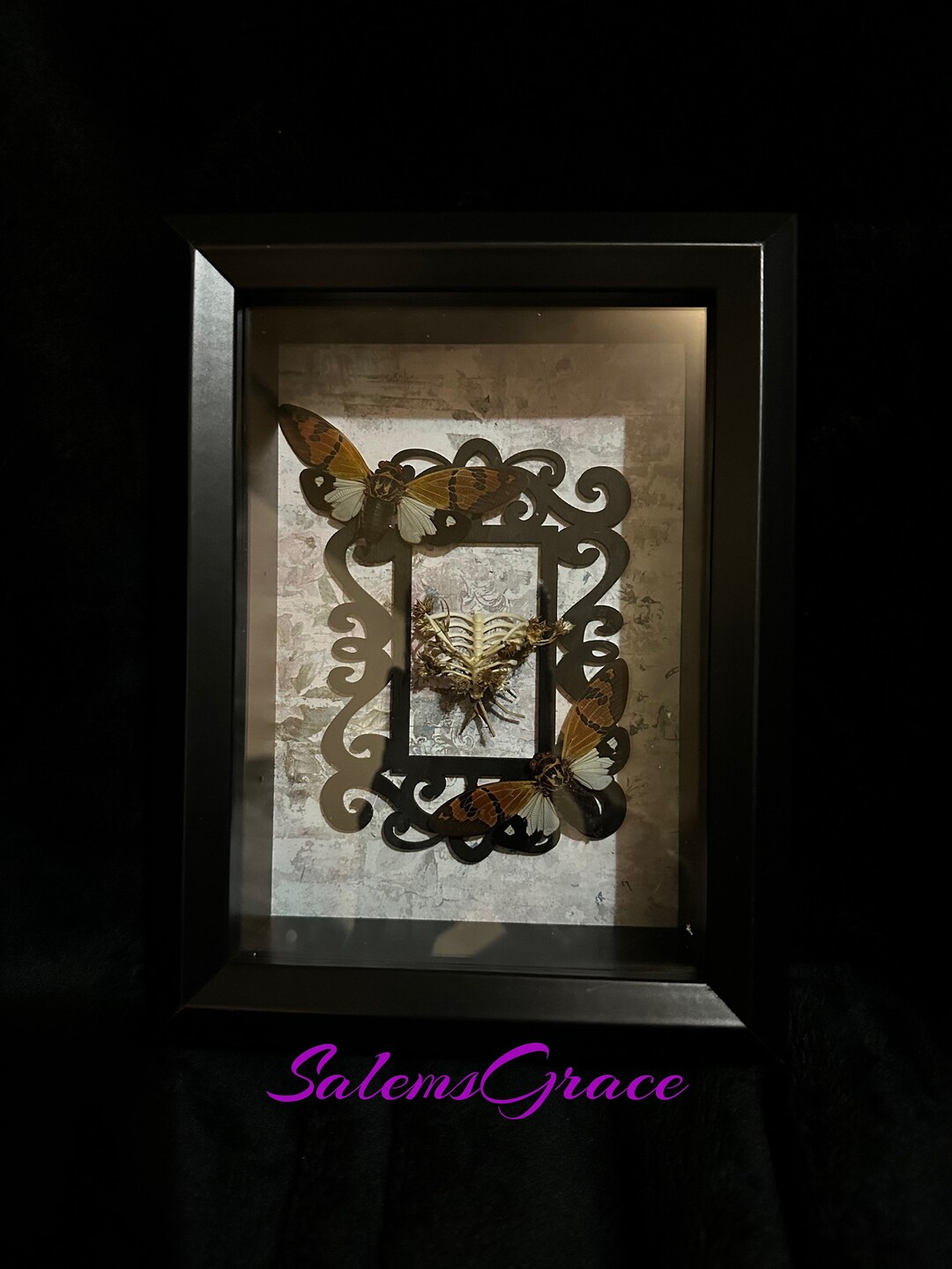 Cicadas With Mouse Rib Cage - Etsy