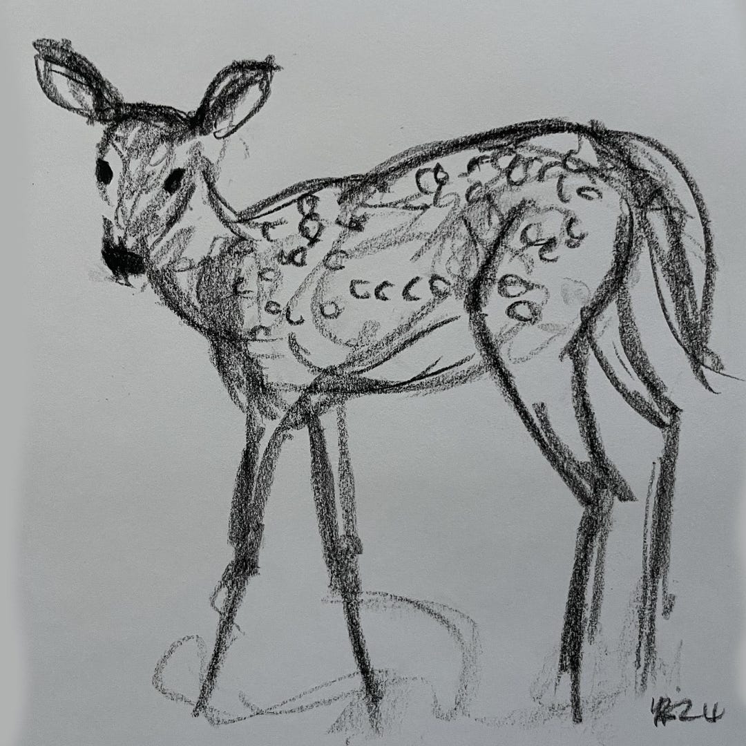 Baby Deer Original Graphite Drawing - Etsy