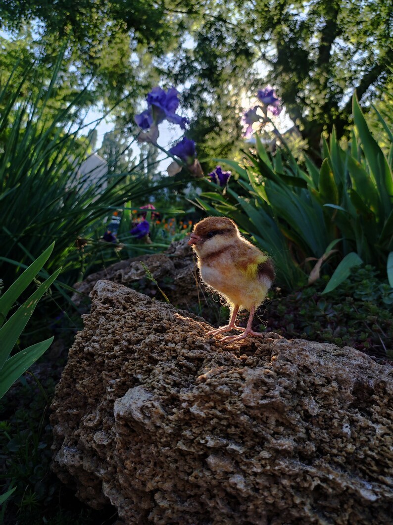 Needle Felted Baby Chick, Wool. Easter Chick, Realistic Toy - Etsy
