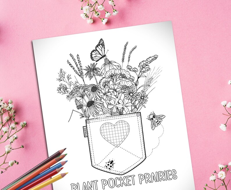 Pocket Prairie Coloring Page, Download & Print, Native Plants ...