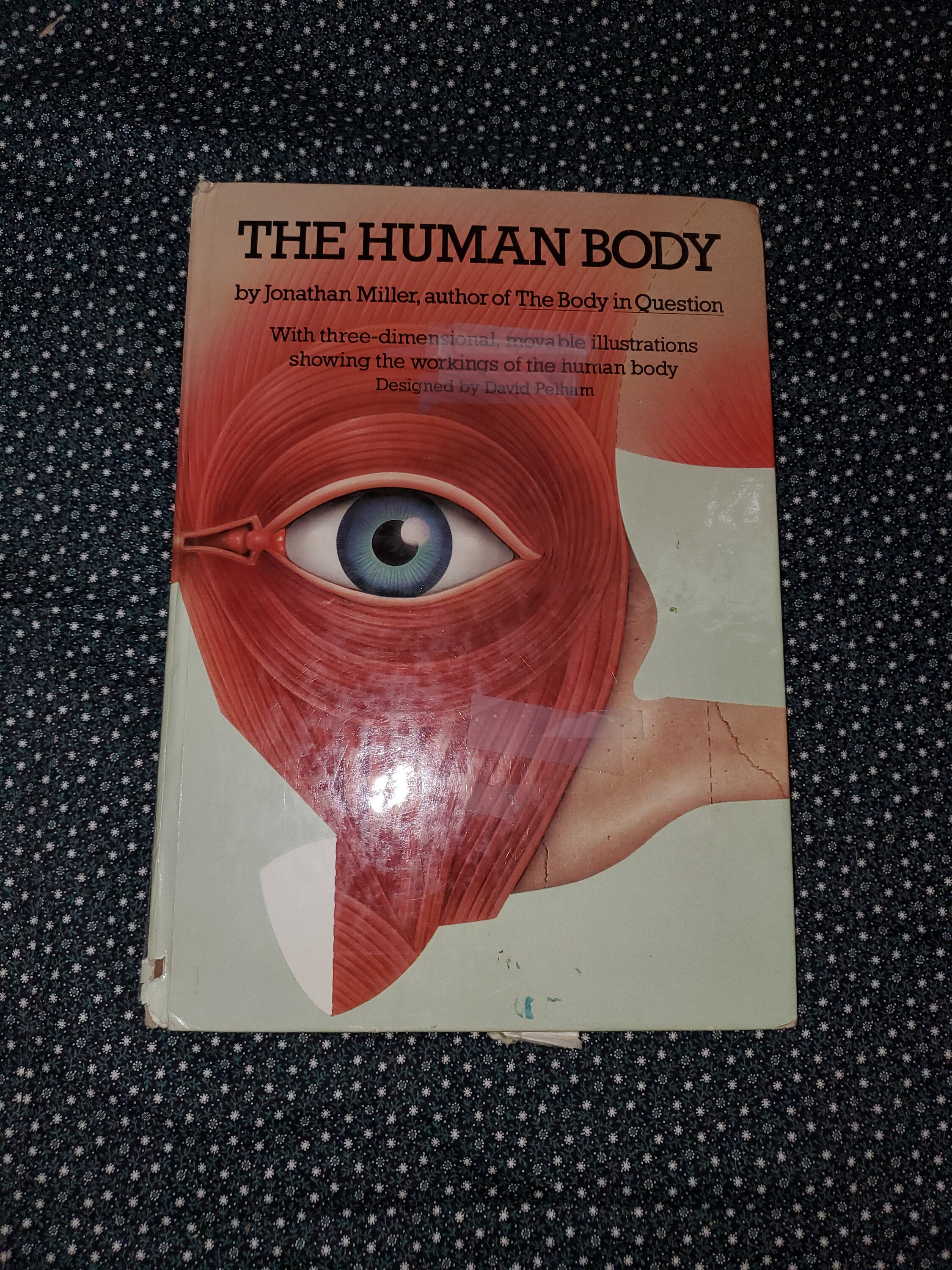 The Human Body Pop Up Book by Jonathan Miller 1983 | Etsy