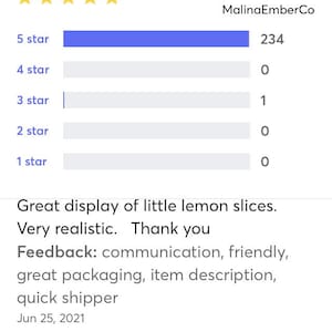 Fake MINI Lemons, Realistic Lemons, Lemon Decor, Plastic Lemons, Lemon ...