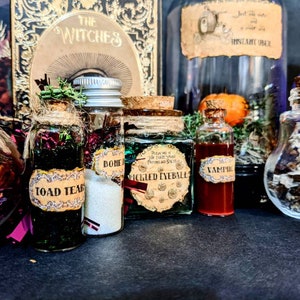 Potion Bottle Halloween Decor, Mini Potion Bottles, Mini Potion Vials ...