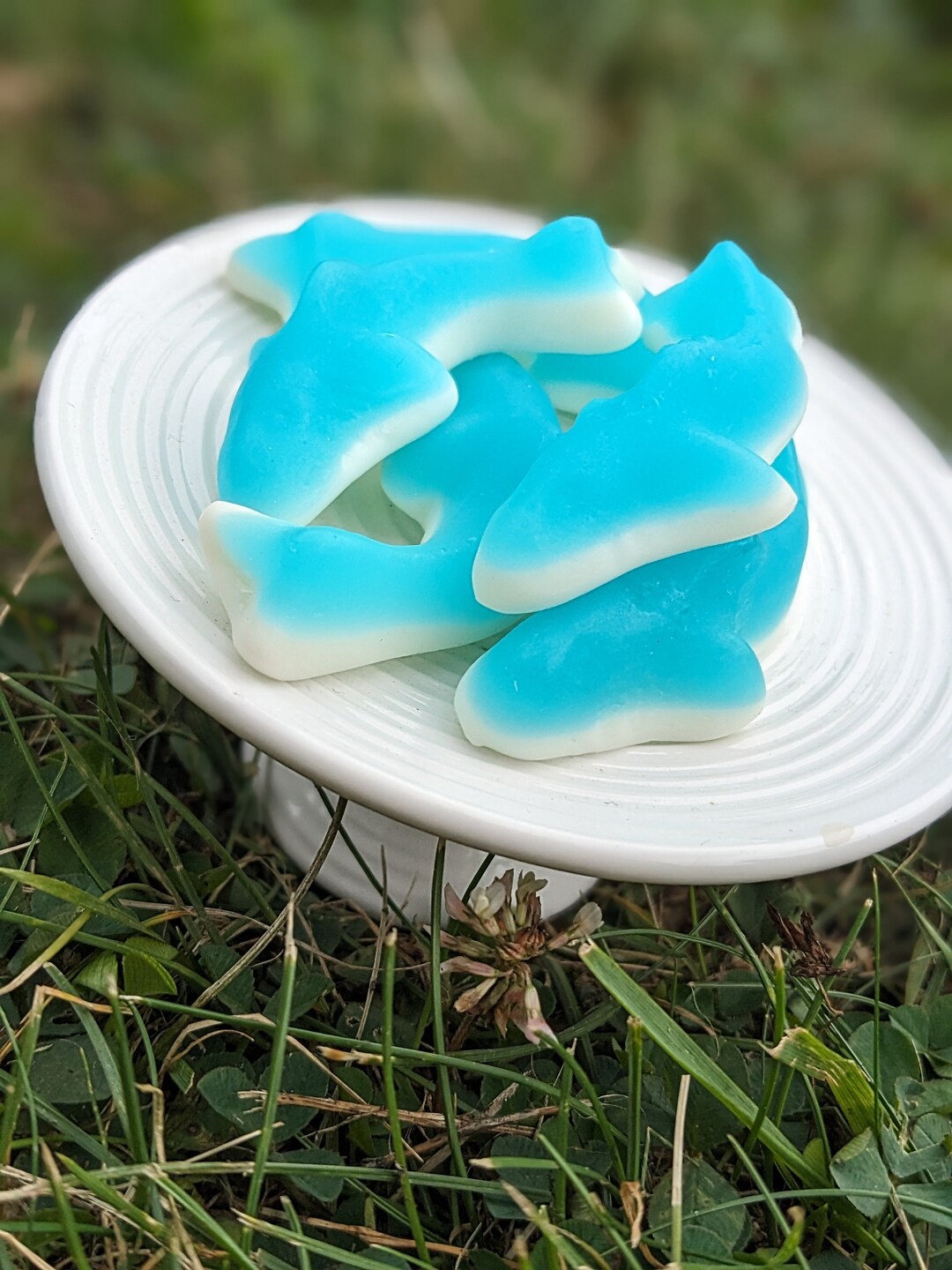 Faux Gummy Sharks, Shark Tiered Tray Decor, Fake Bake Supplies - Etsy