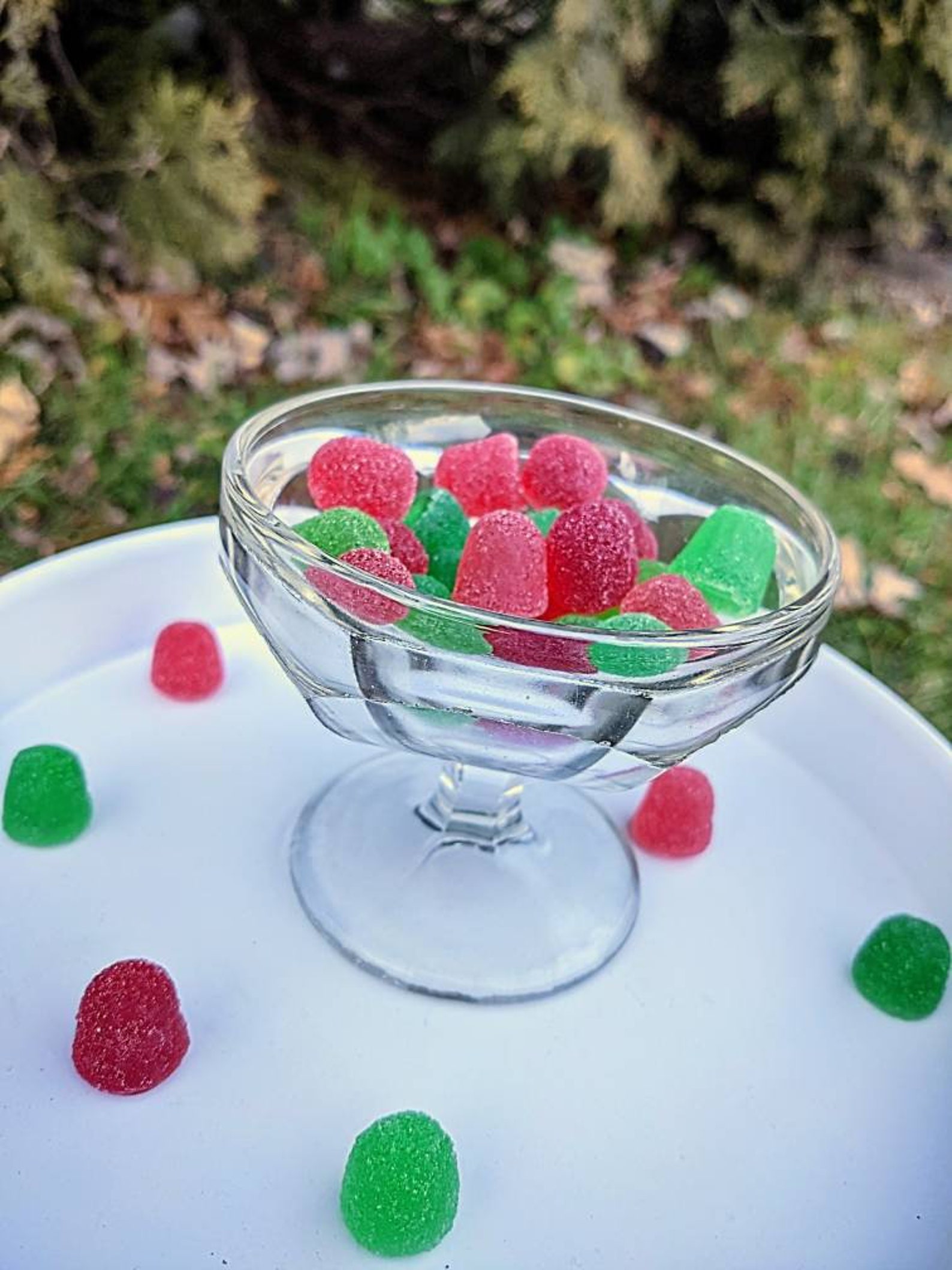 Fake Gumdrops Realistic Gumdrops Candy Land Decor Candy - Etsy