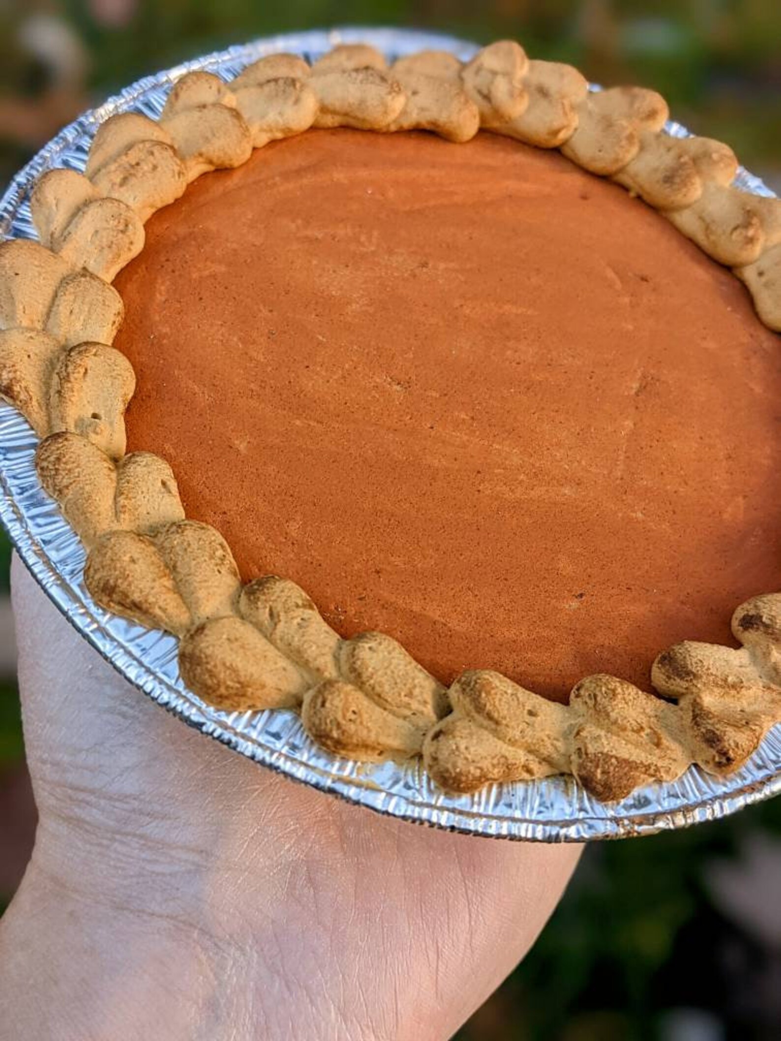 Faux Pumpkin Pie, Fake Pie, Fake Pumpkin Pie, Non-edible Faux Treat ...