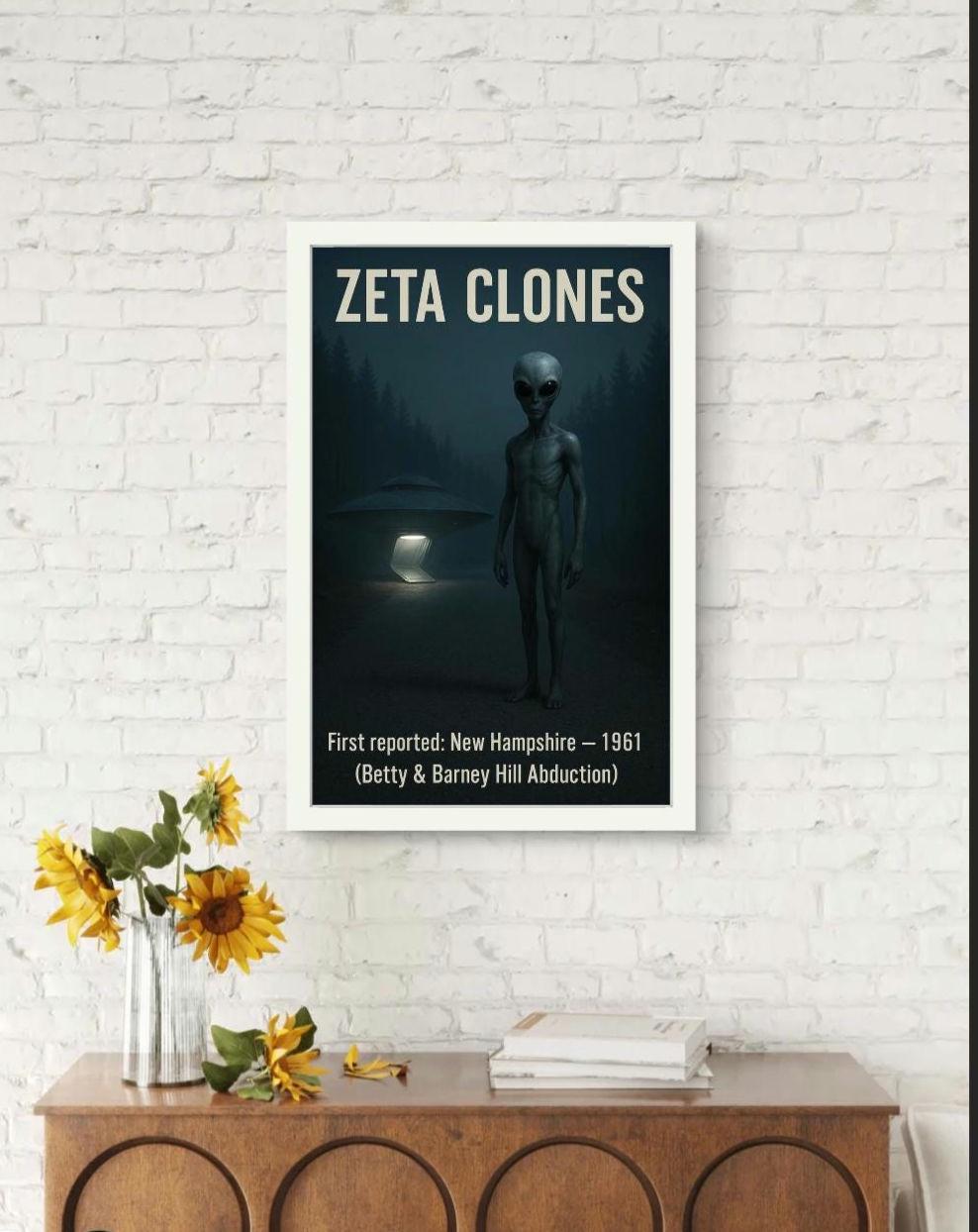 Zeta Clones Poster: 1961 Betty & Barney Hill UFO Art Print - Etsy