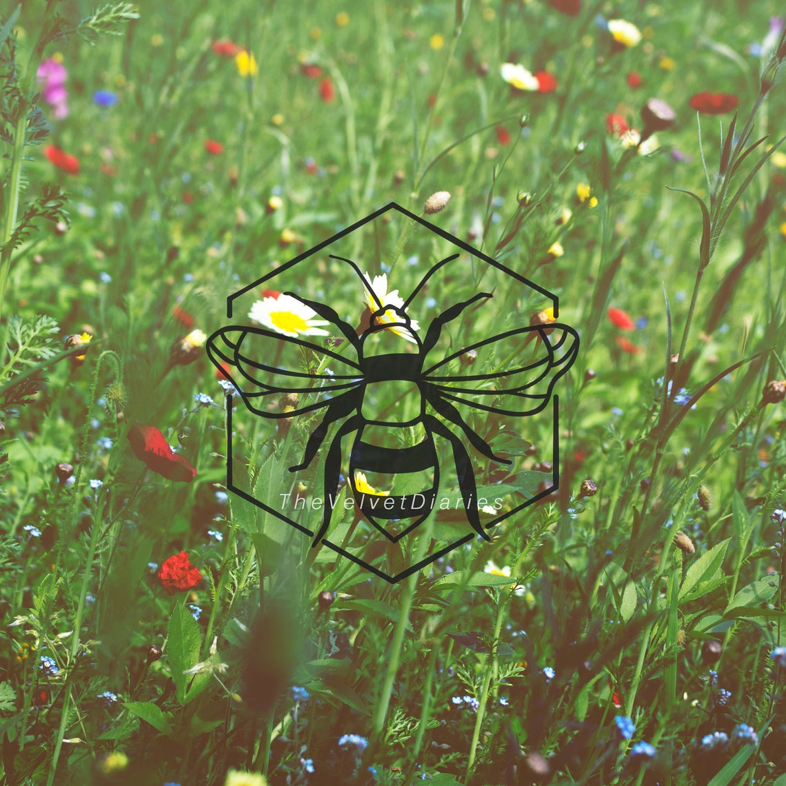 Bumblebee Hand Drawn Honeycomb Bee Frame Vector Svg Eps Png Clip Art ...