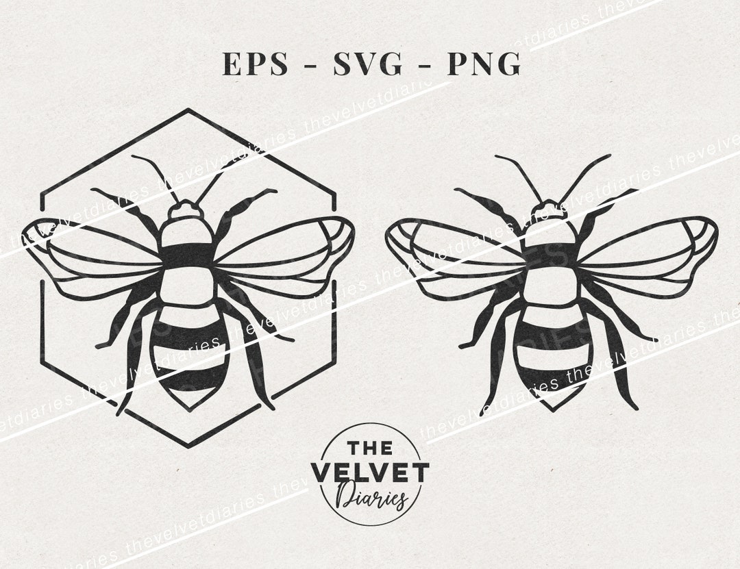 Bumblebee Hand Drawn Honeycomb Bee Frame Vector Svg Eps Png Clip Art ...