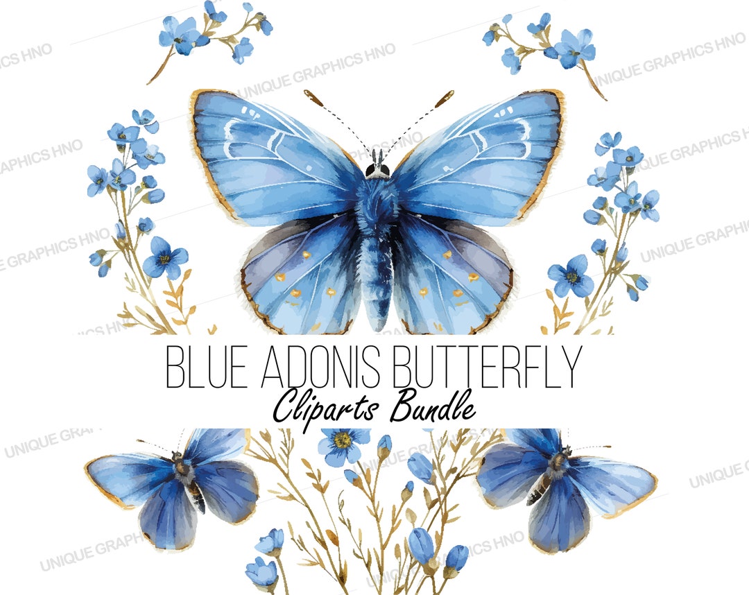 Watercolor Adonis Blue Clipart, Adonis Blue Desing, Blue Butterfly ...
