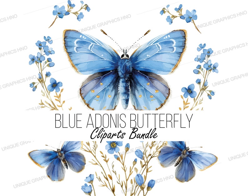 Watercolor Adonis Blue Clipart, Adonis Blue Desing, Blue Butterfly ...
