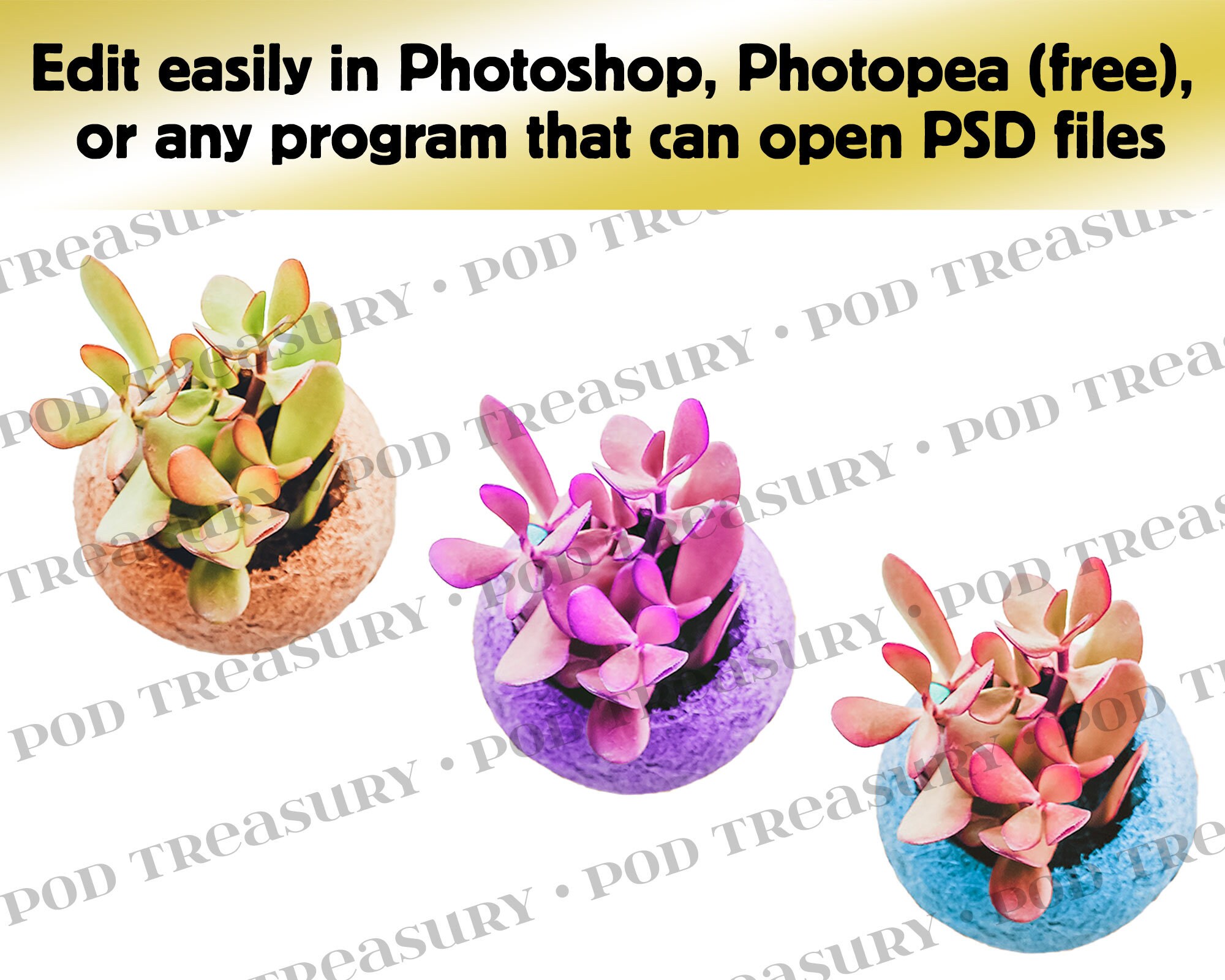 Mockup Bundle Prop Pack | Plants and Flowers | Digital Elements for ...