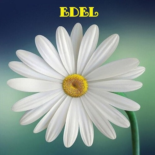 EdelNaturalProducts - Etsy UK