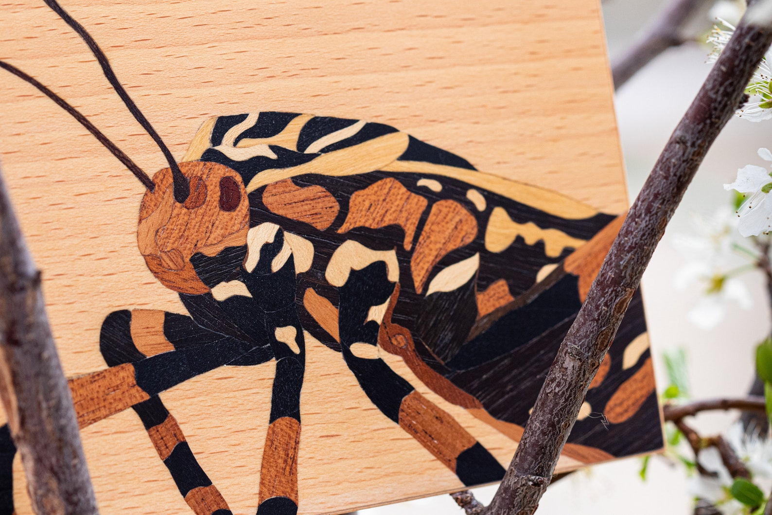 Wood art Bug on Wood Nature Art Wood wall decor Handmade | Etsy