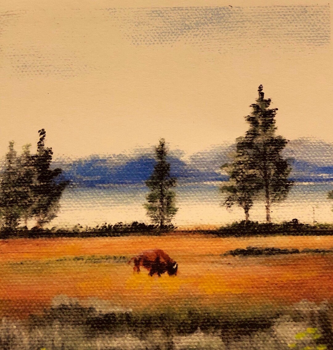 Yellowstone National Park, Buffalo Note Card, National Parks - Etsy
