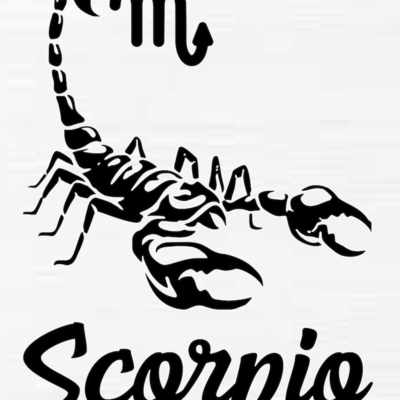 Scorpion Car Decal - Etsy