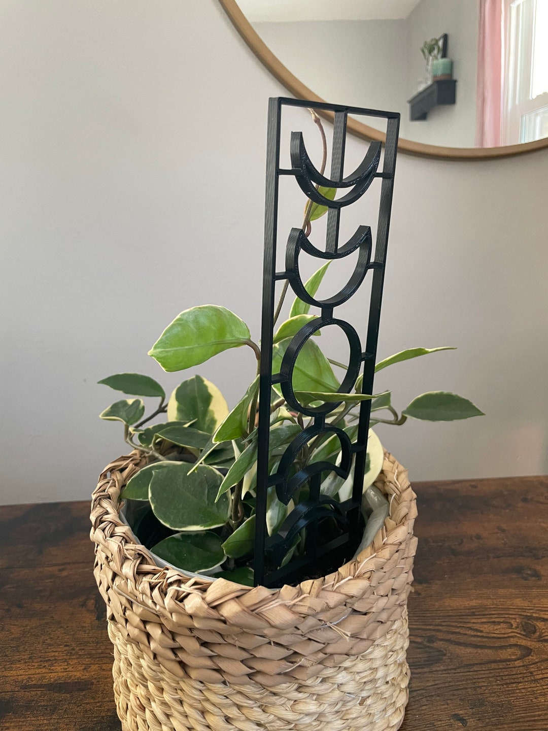 Moon Phases House Plant Trellis, 3D Printed Trellis two Sizes - Etsy