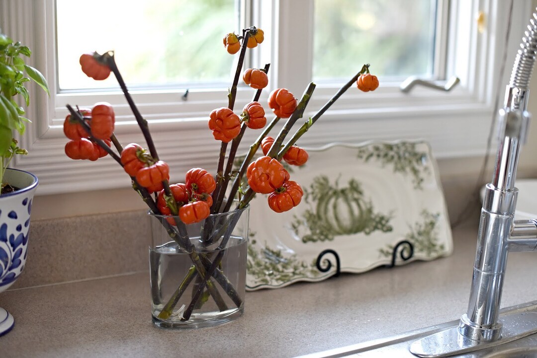 Pumpkin Branches Fall Bouquet Fresh Healthy Stems - Etsy