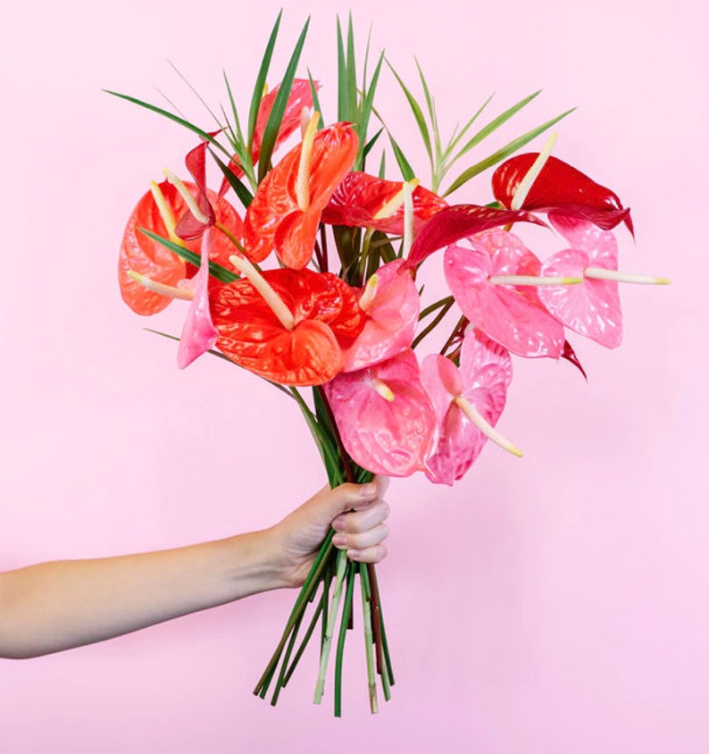 Anthurium Flowers Live Bouquet - Etsy